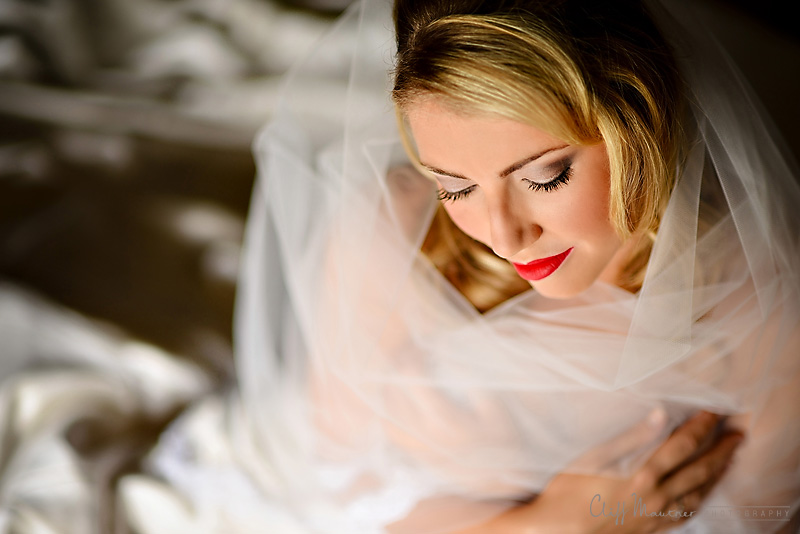 IT’S HERE… The Nikon D800!!!! – Cliff Mautner Photography